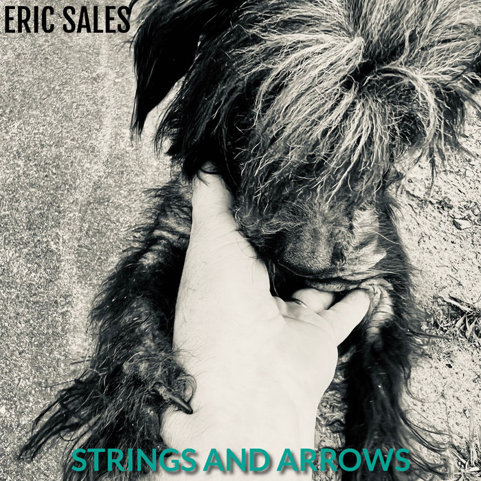 Strings And Arrows | eric sales