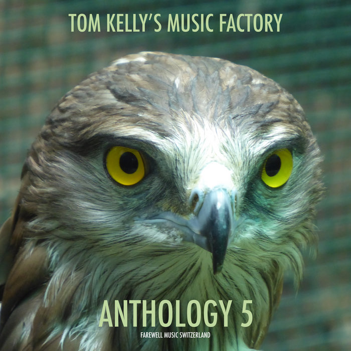 Anthology 5 | Tom Kelly's Music Factory