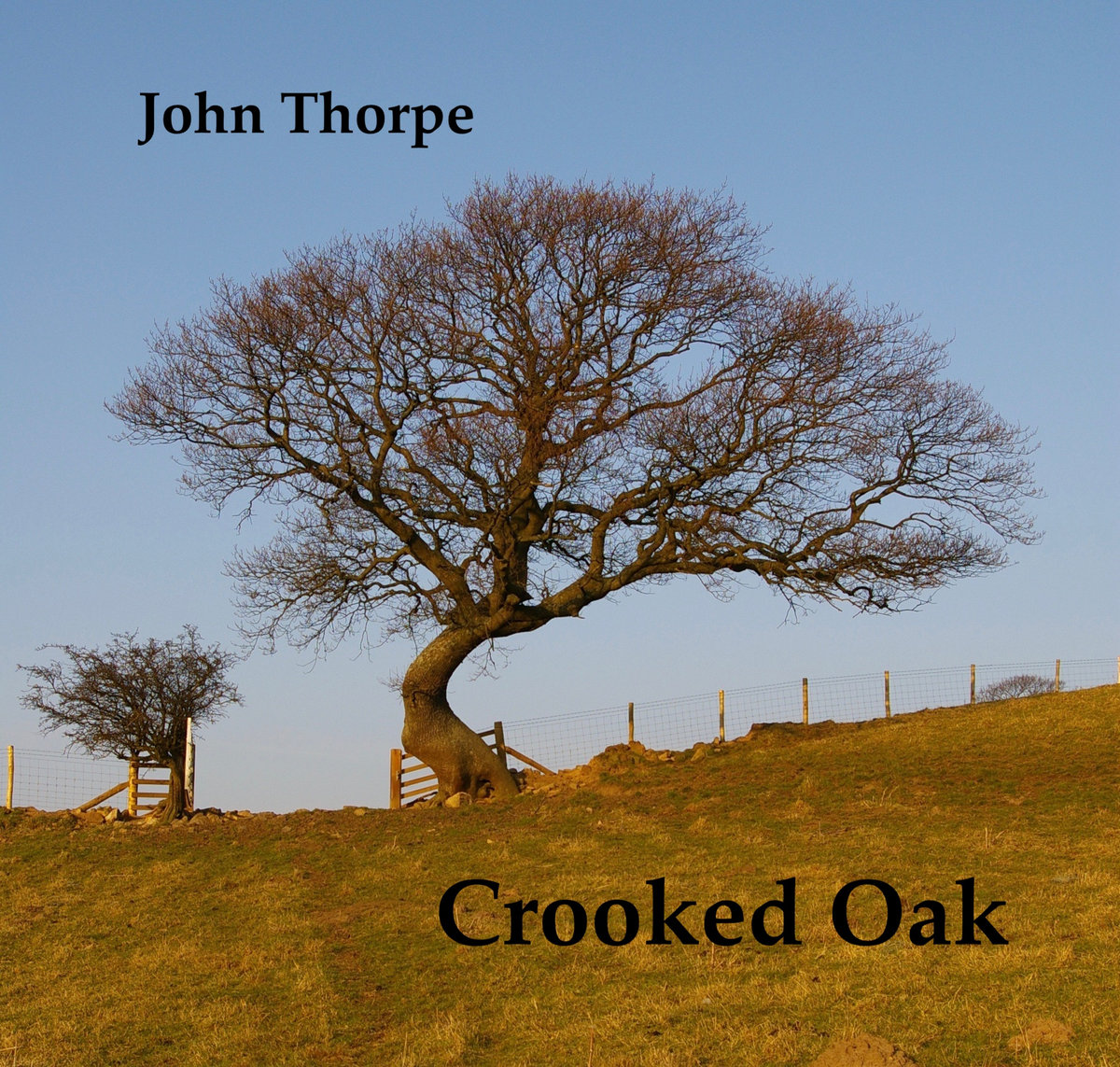 Crooked Oak - EP | John Thorpe