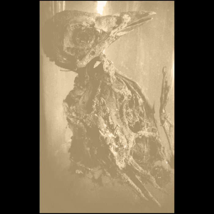 Declining Rate | Declining Rate