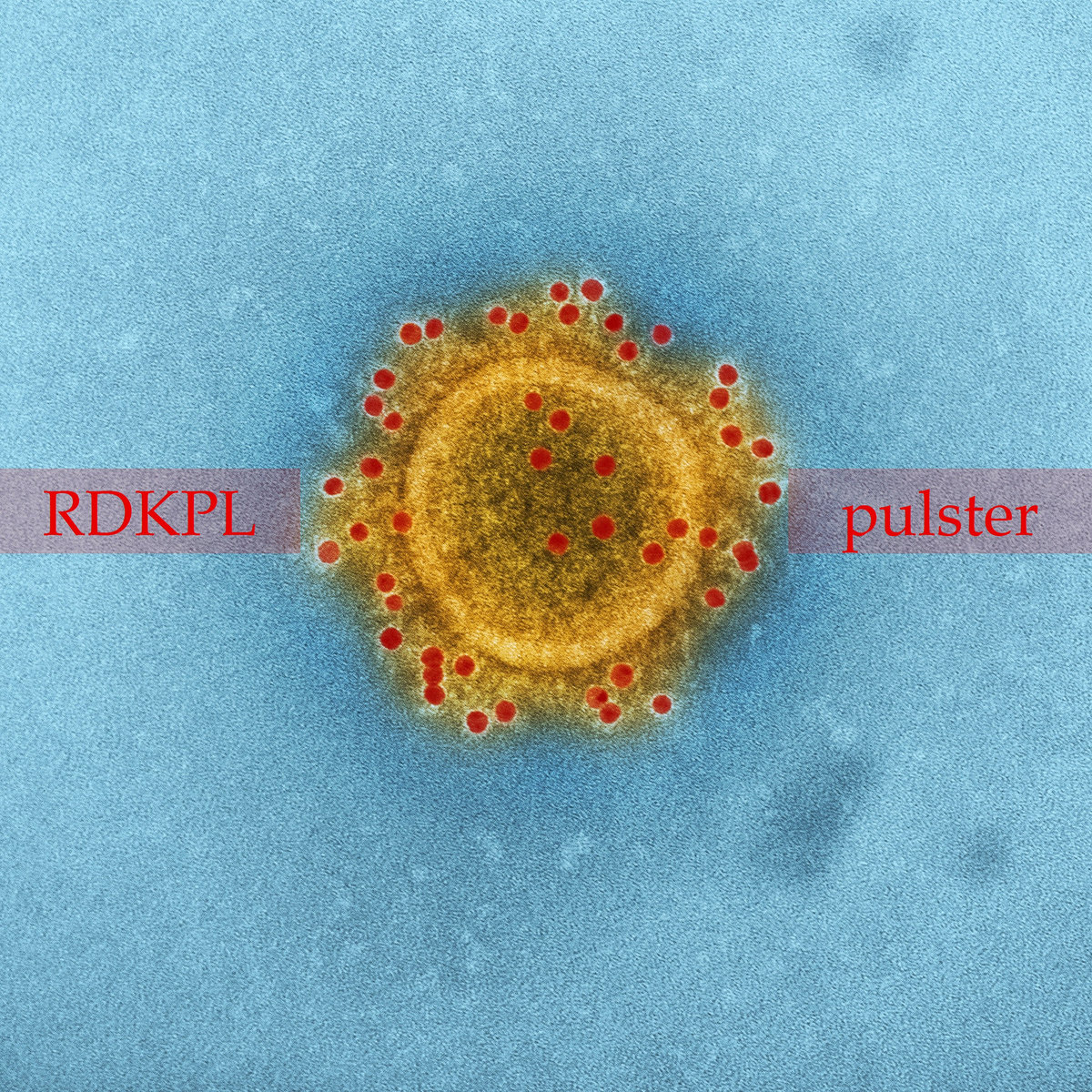 Pulster | RDKPL | La Madriguera Del Tlacuache
