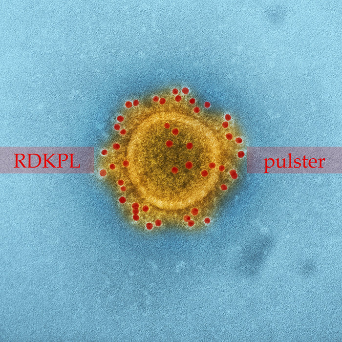 Pulster | RDKPL | La Madriguera Del Tlacuache
