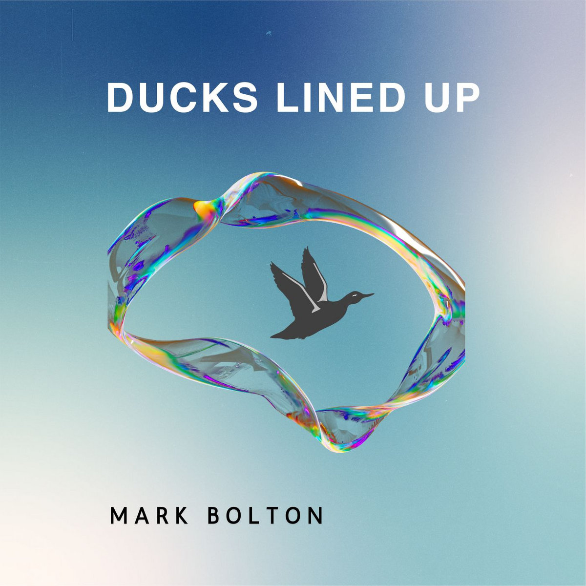Ducks Lined Up | Mark Bolton