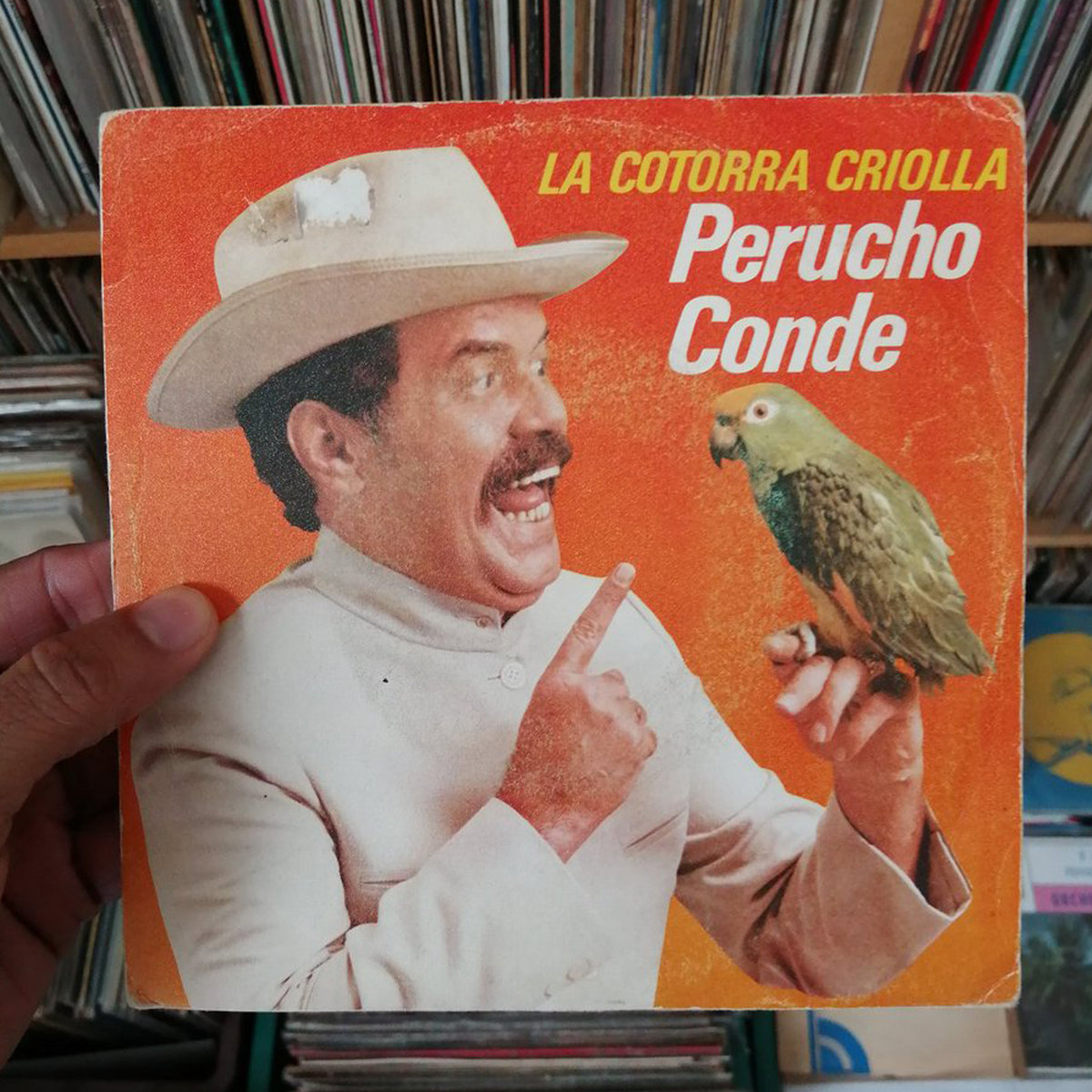 Perucho Conde - La Cotorra Criolla (Dr.Ruddz regroove) | Dr.Ruddz