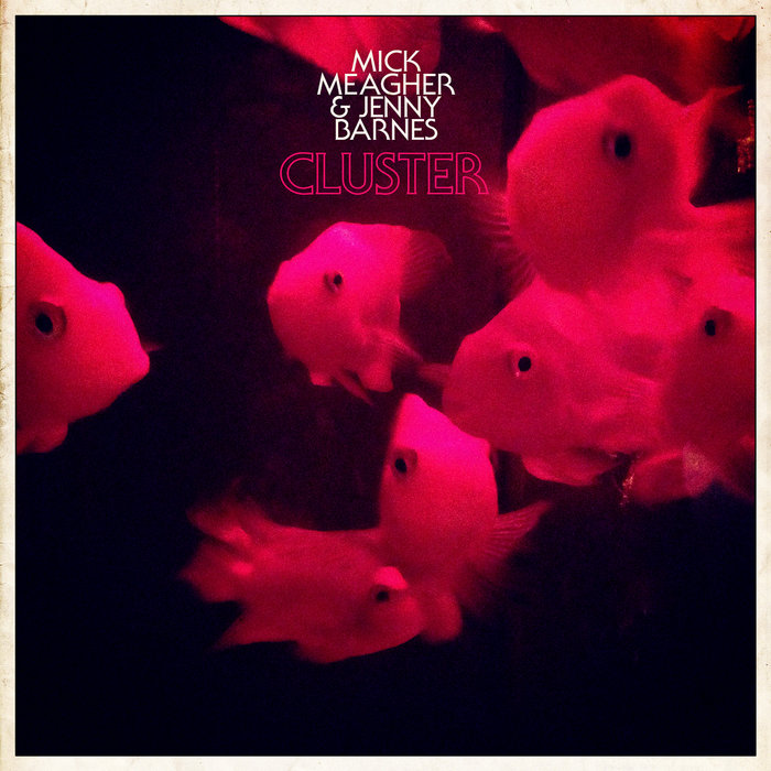 Cluster | Mick Meagher & Jenny Barnes | Mick Meagher