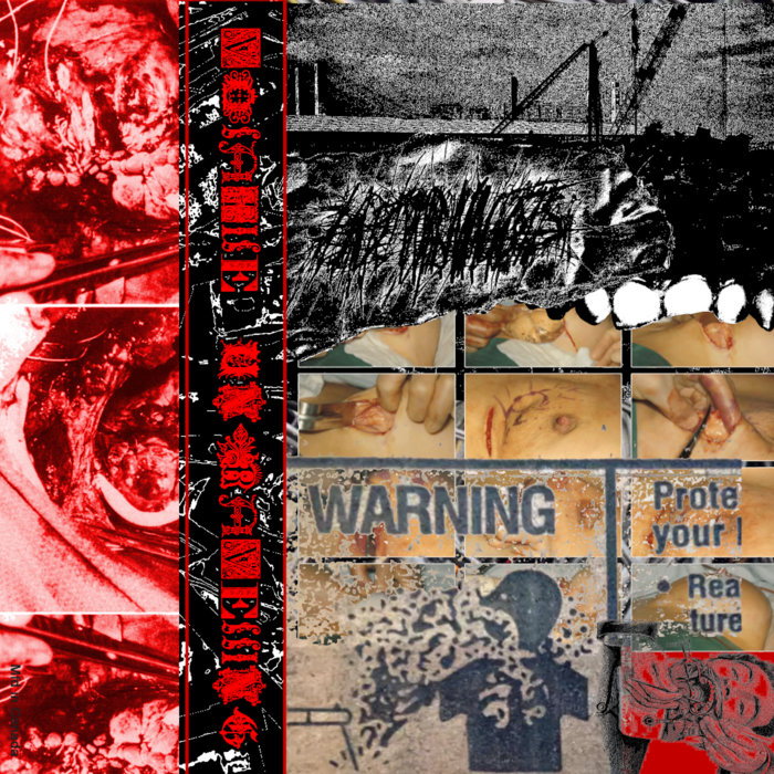 VOLATILE UNRAVELLING | BARBED WIRE MAGGOTS | GUTTER HEAVE