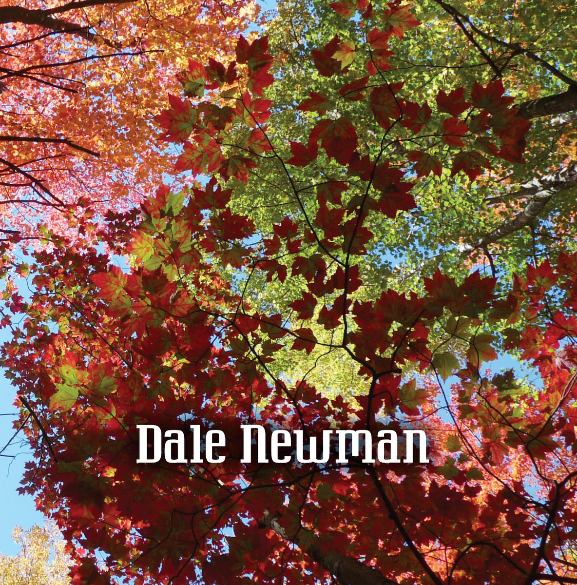 Dale Newman | Dale Newman
