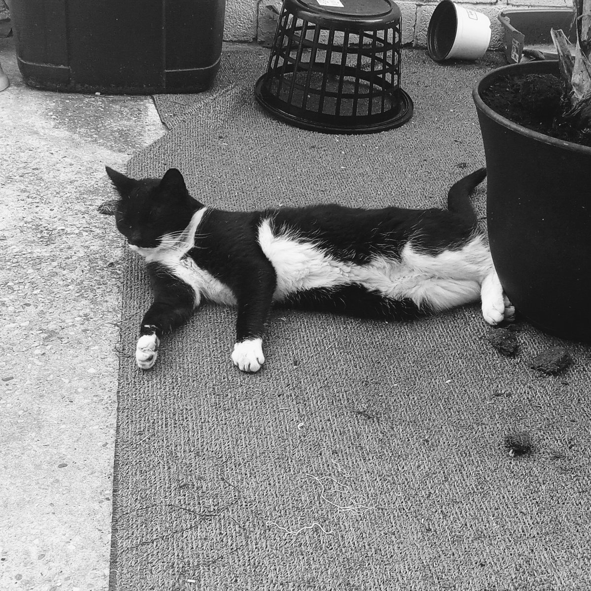 Kat & Chat | Glen | The Dean St Band