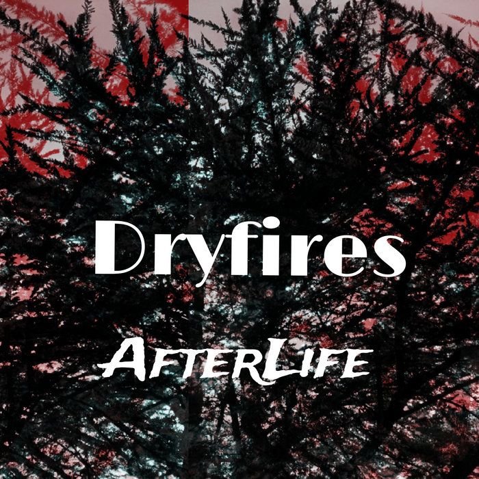 AfterLife | Dryfires