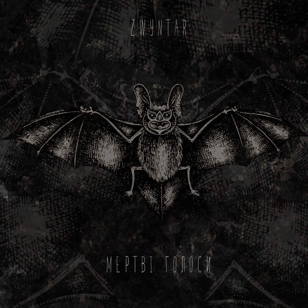 Кажани | ZWYNTAR