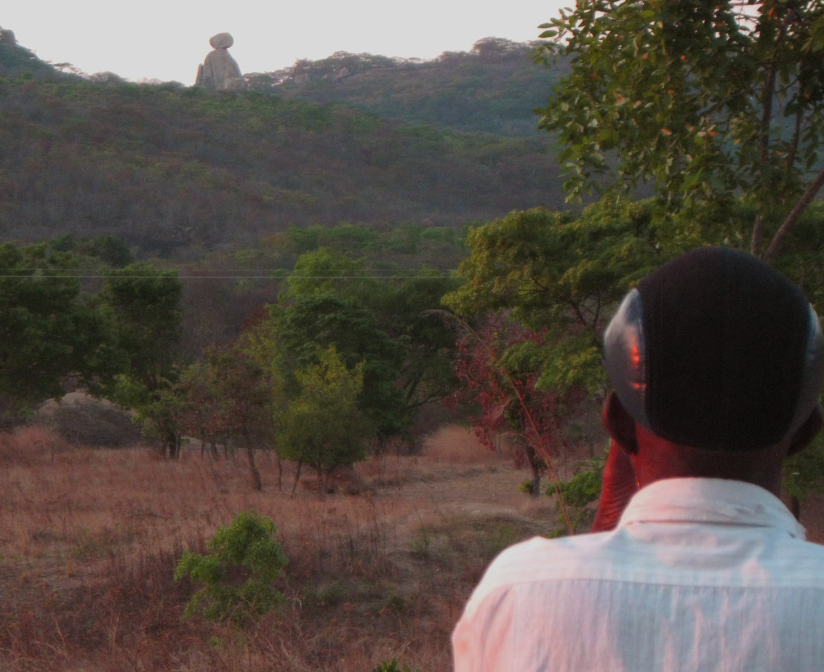 Mbira Maestro 2 - developing your repertoire with William Chitauro ...