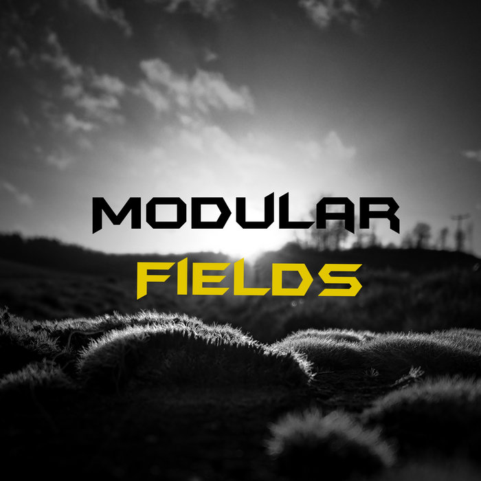 Modular fields | Fall In Trance