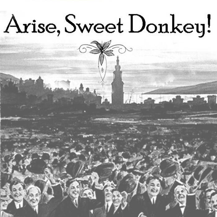 Arise, Sweet Donkey! | Alison Self