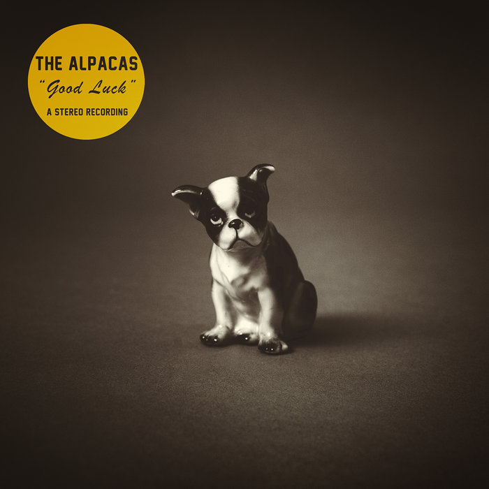 Good Luck | The Alpacas