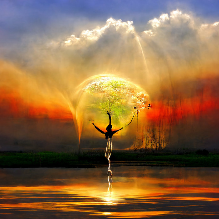 Wonder of Life | Electric Sufi | Professor Chill