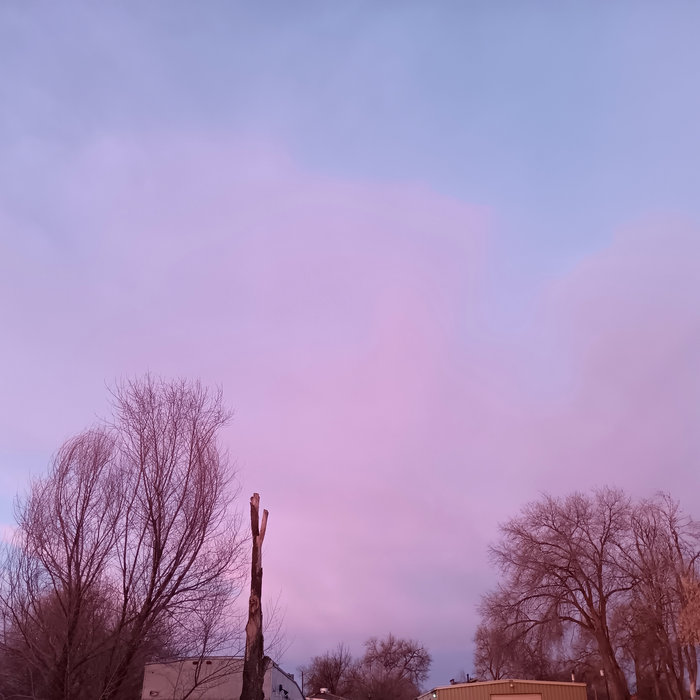 Guitar Diaries, Vol. 1 | Nicole Foreman