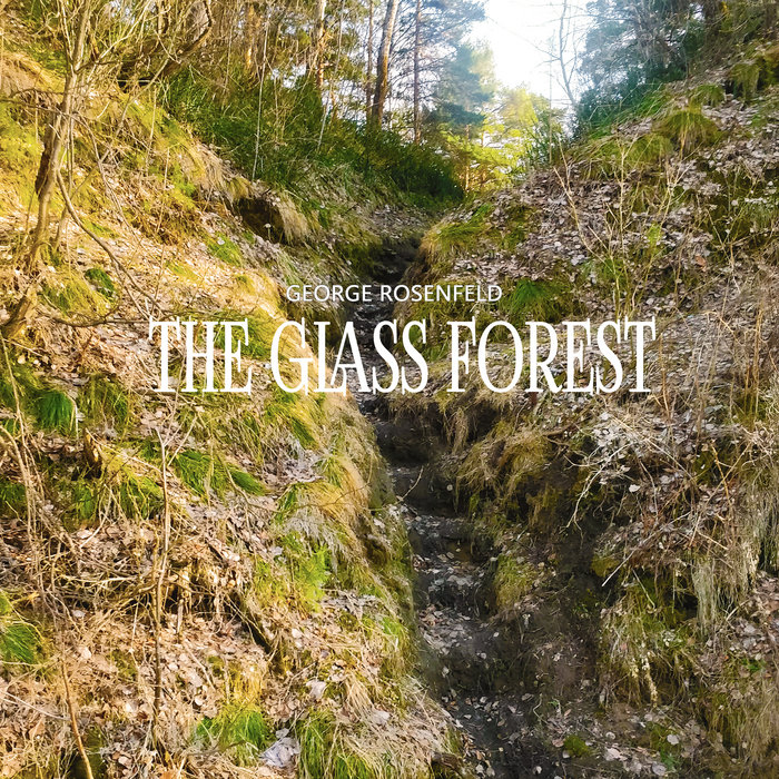 The Glass Forest | George Rosenfeld