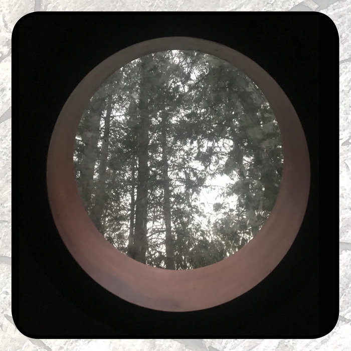 Moonlit Missive #84: The Trees Out My Window | In Gowan Ring