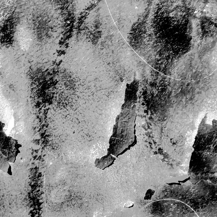 Neuro{}Transmission | Henry Trigg | Wilbury Tapeworm