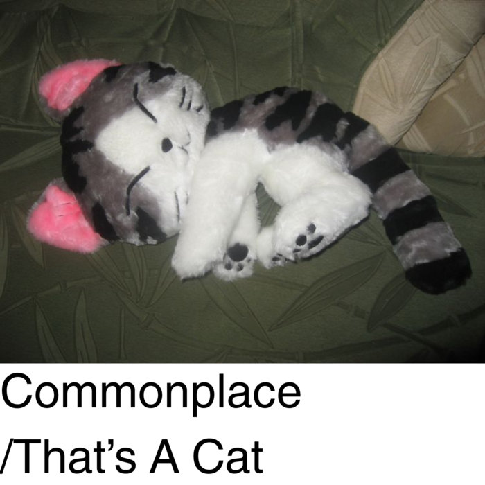 Commonplace/That's A Cat | Voss - Cat