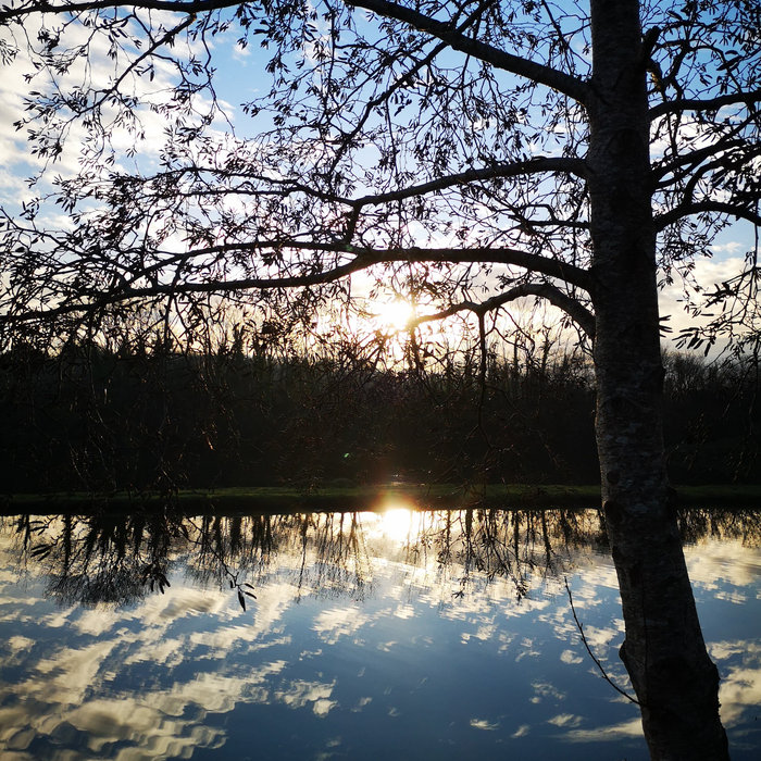 Niva's Dream | Neil Rush