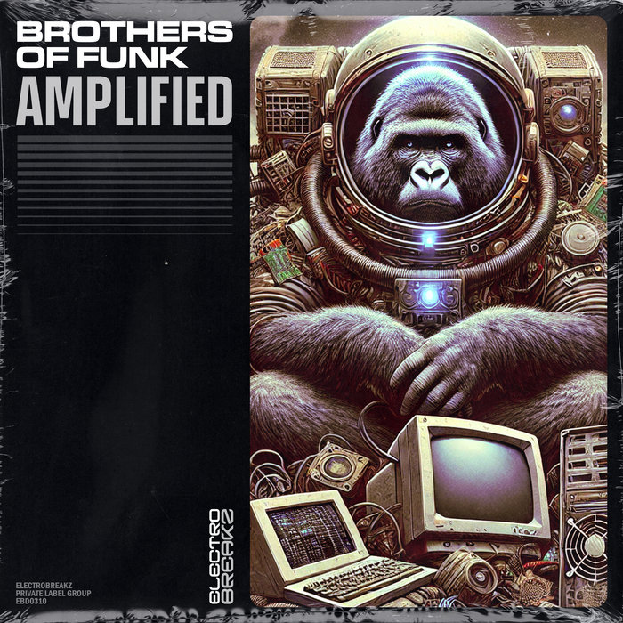Brothers Of Funk - Amplified | ElectroBreakz