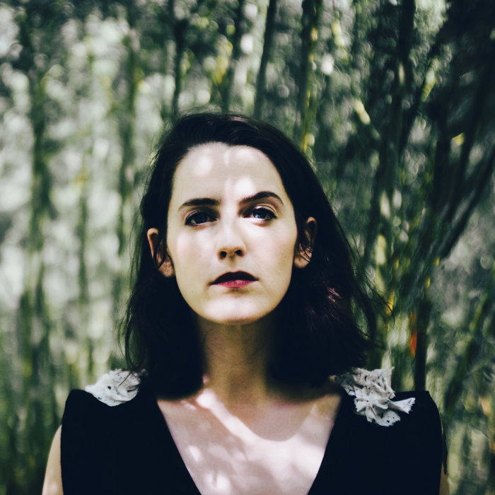 Cicada (A Collection) | Jenny Berkel