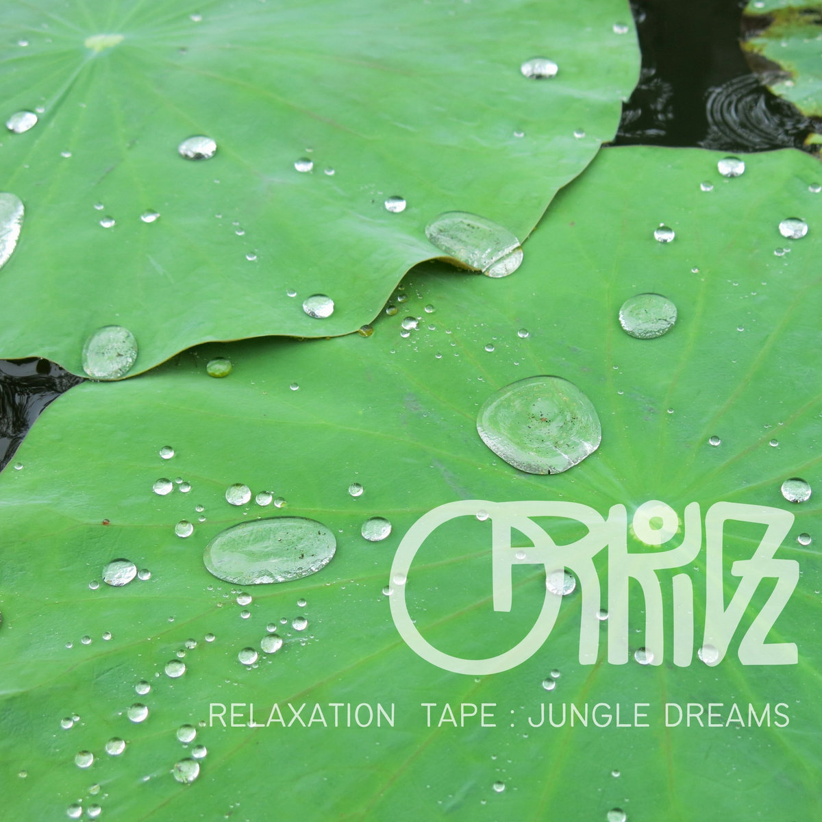 Relaxation tape: Jungle Dreams | Orkidz