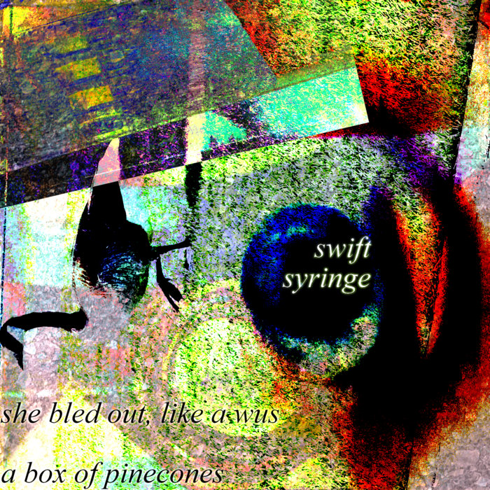 she bled out, like a wus / a box of pine cones | Swift Syringe ...