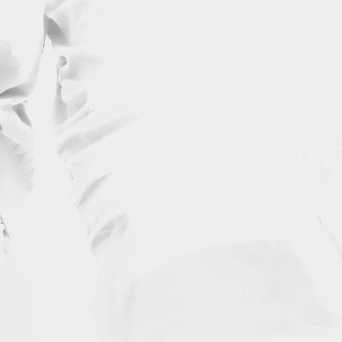 Neuro()Transmission | Henry Trigg | Wilbury Tapeworm