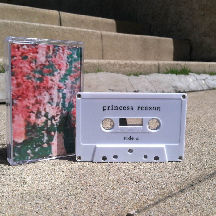 princess reason | Princess Reason
