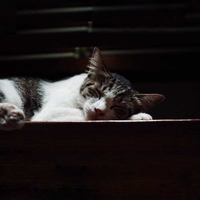 WHISPER | DASAWARSA MY