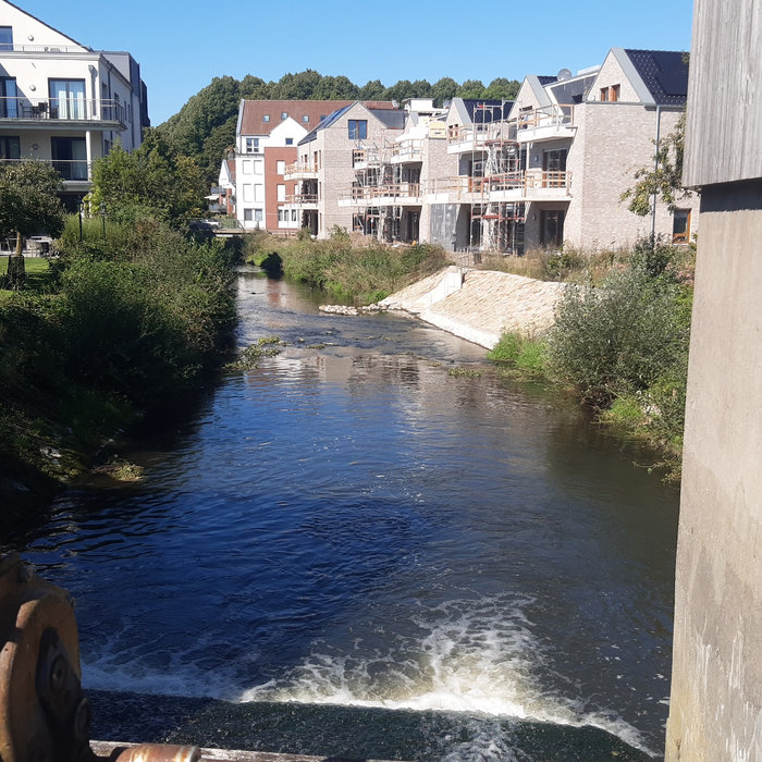 Sunday Stone | Jaegerist