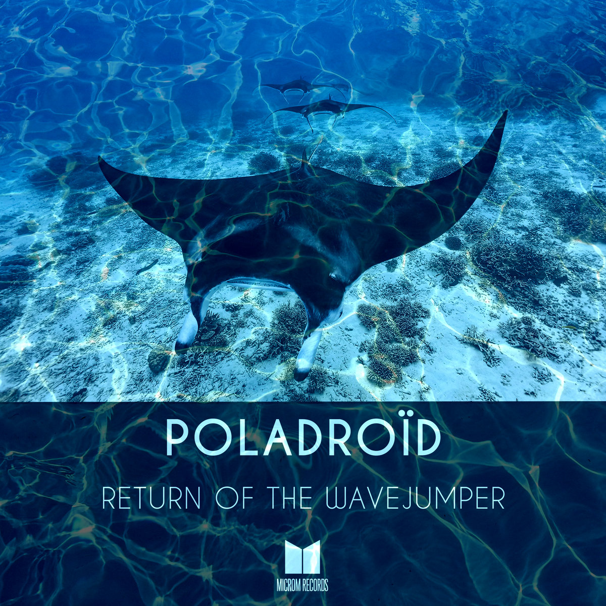 Poladroïd - Return Of The Wavejumper | Poladroïd, Microm Records, 2023 | Microm Records