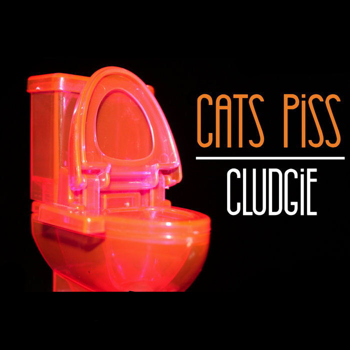 CLUDGIE | CATS PISS