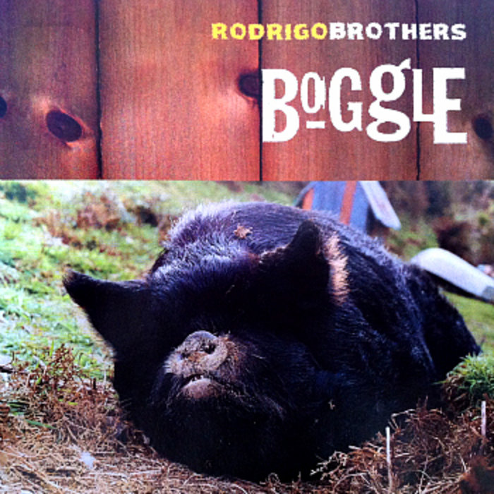 Boggle | The Rodrigo Brothers