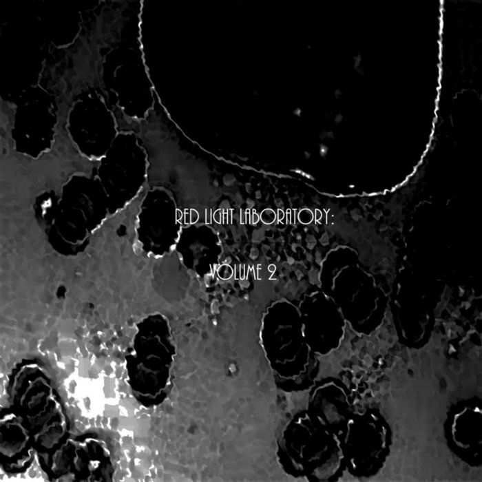 Red Light Laboratory: Volume 2 | Bane Production