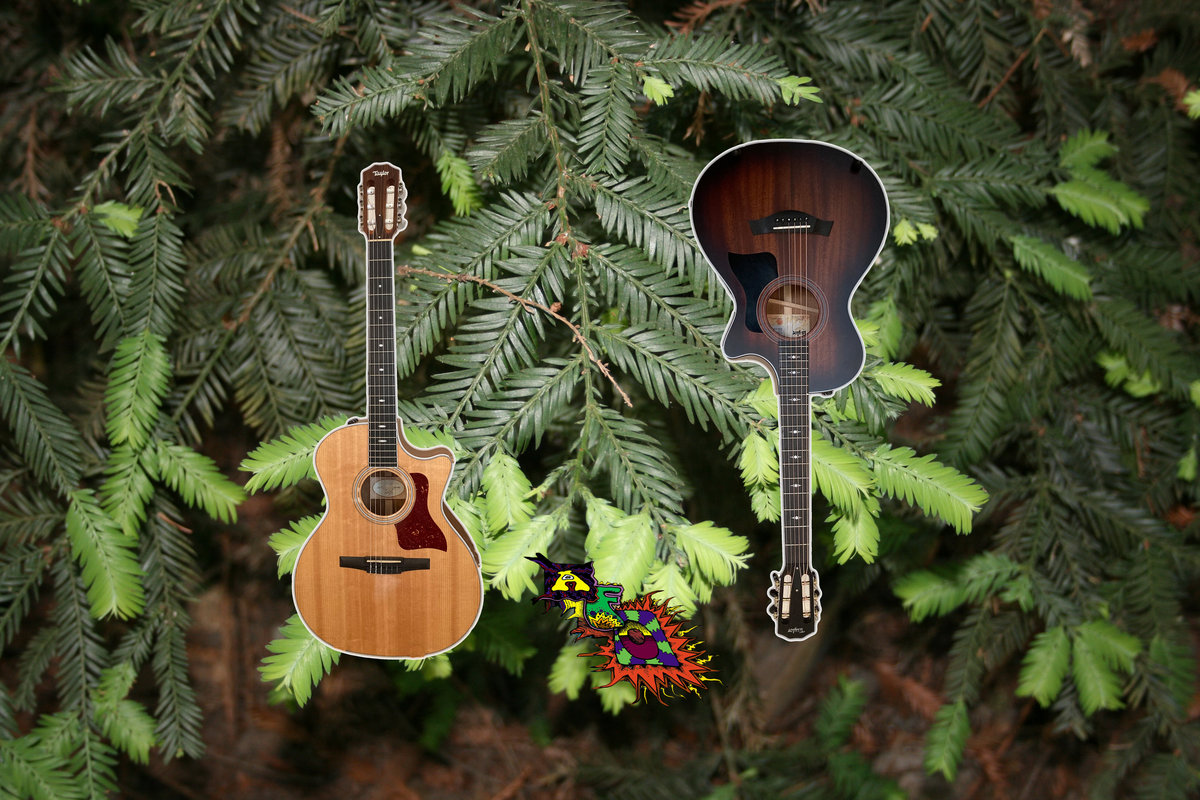 Covered By Nylon and Steel | Marc Hollander