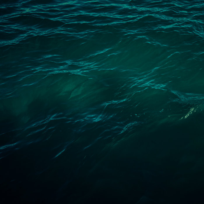 Leviathan II | Swartz et