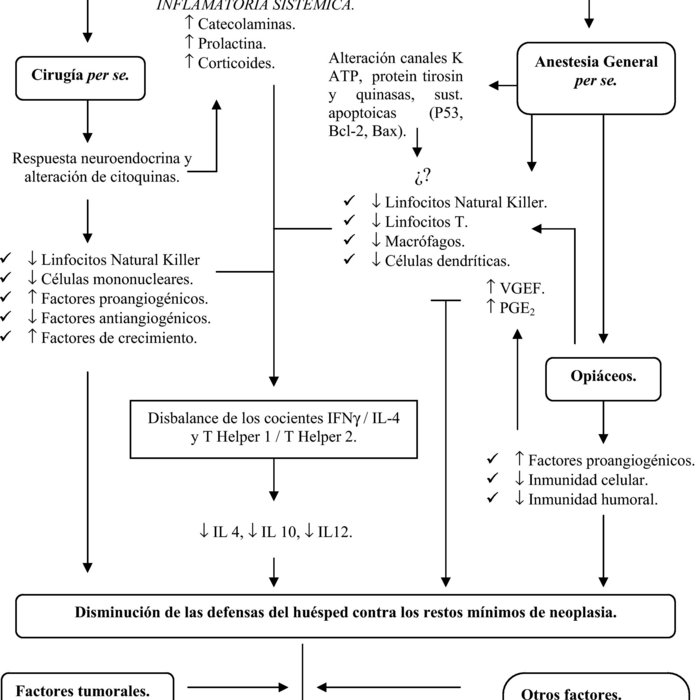 Hemorragia Subaracnoidea Escala Fisher Pdf Free | Hassgae | sumplatsojaboun