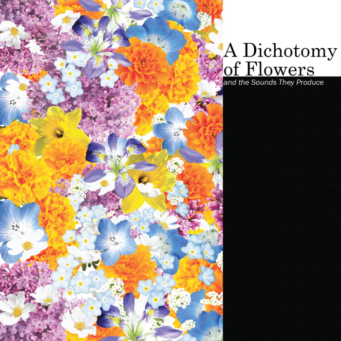 A Dichotomy of Flowers and the Sounds They Produce | The Celestines