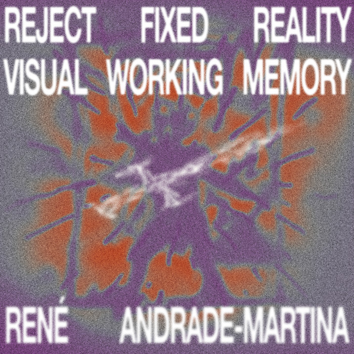 VISUAL WORKING MEMORY | René Andrade-Martina