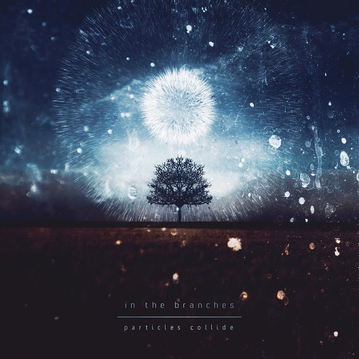 Particles Collide | In The Branches | The Adaptive