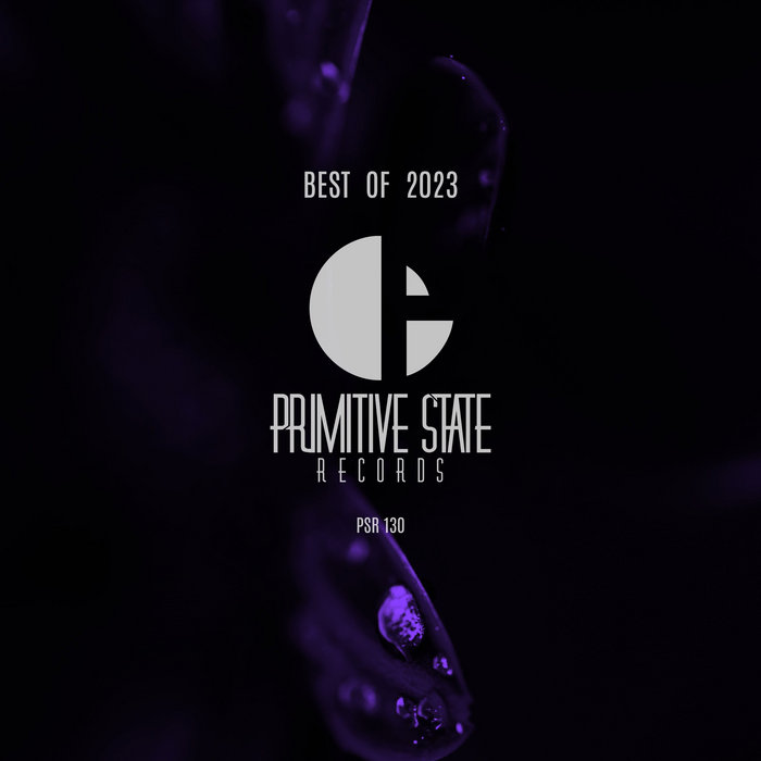 Best OF 2023 - Primitive State Records | Various Artists ...