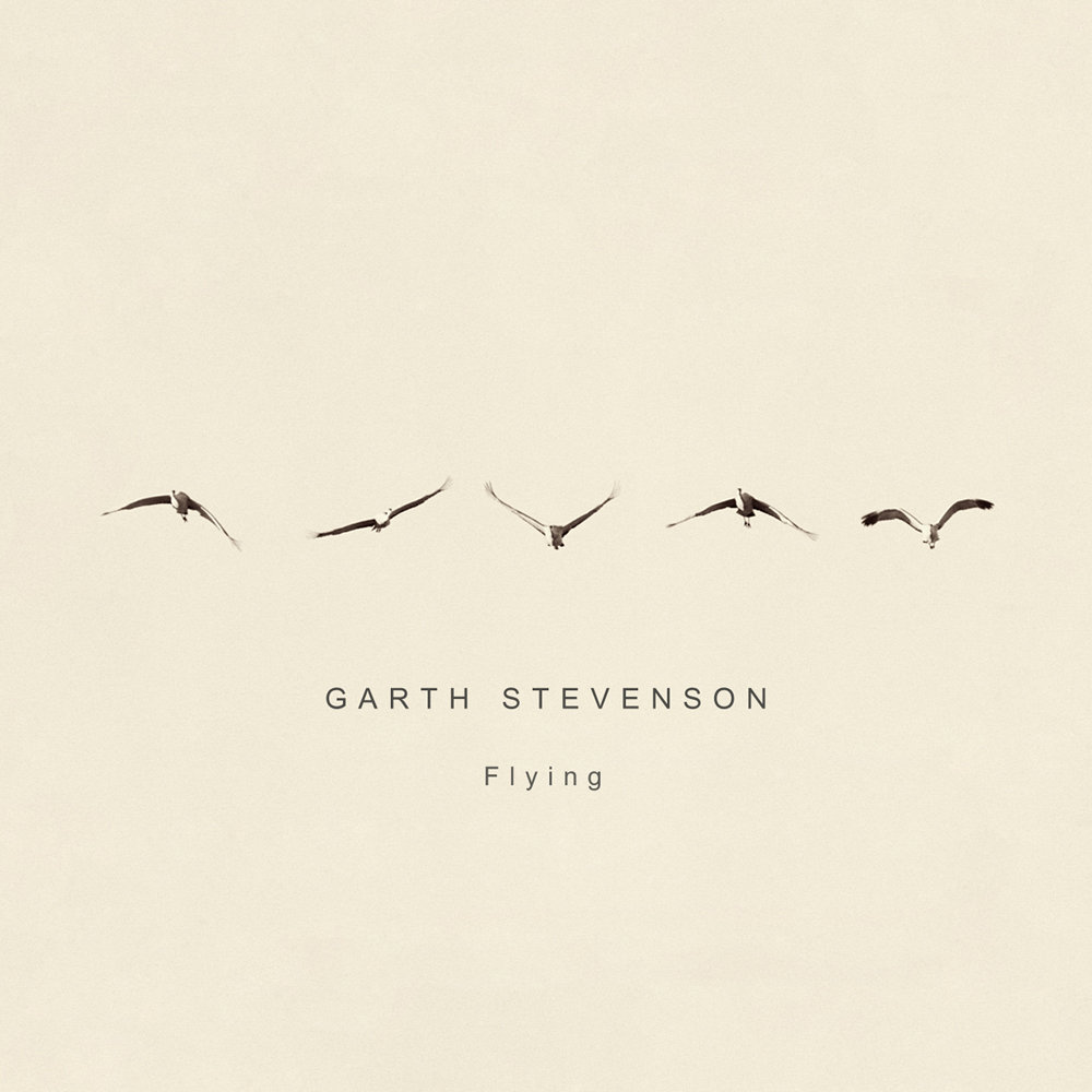Flying | Garth Stevenson