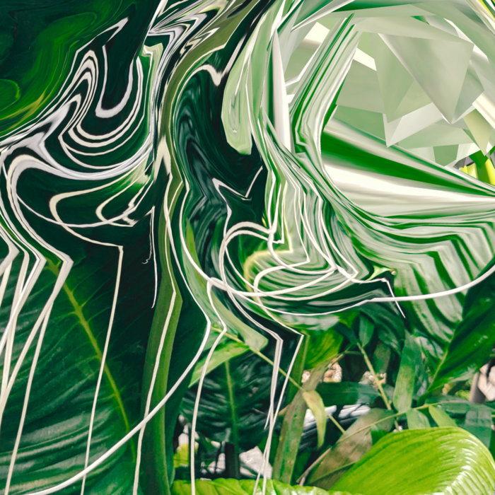 Straw Dog | Noah Denzer