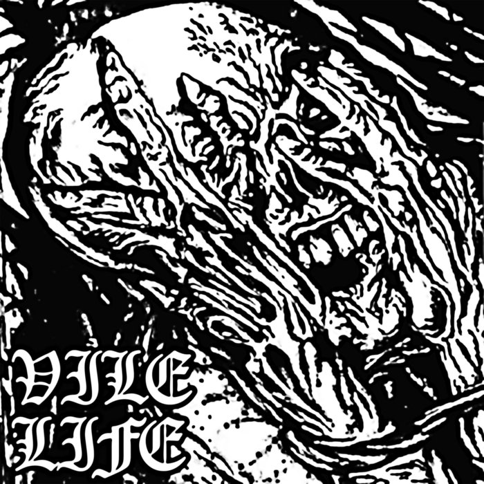 Vile Life | Vile Life