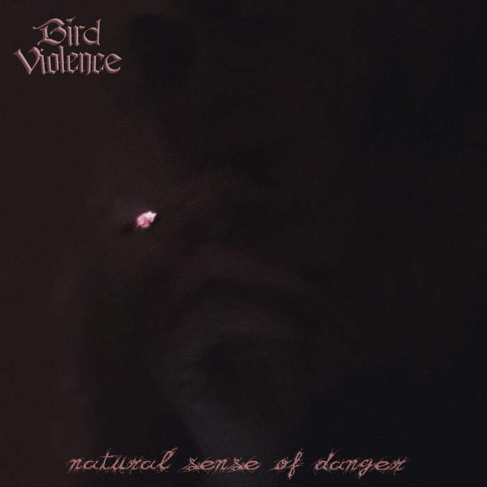 Natural Sense of Danger | Bird Violence | Violent Synth Order