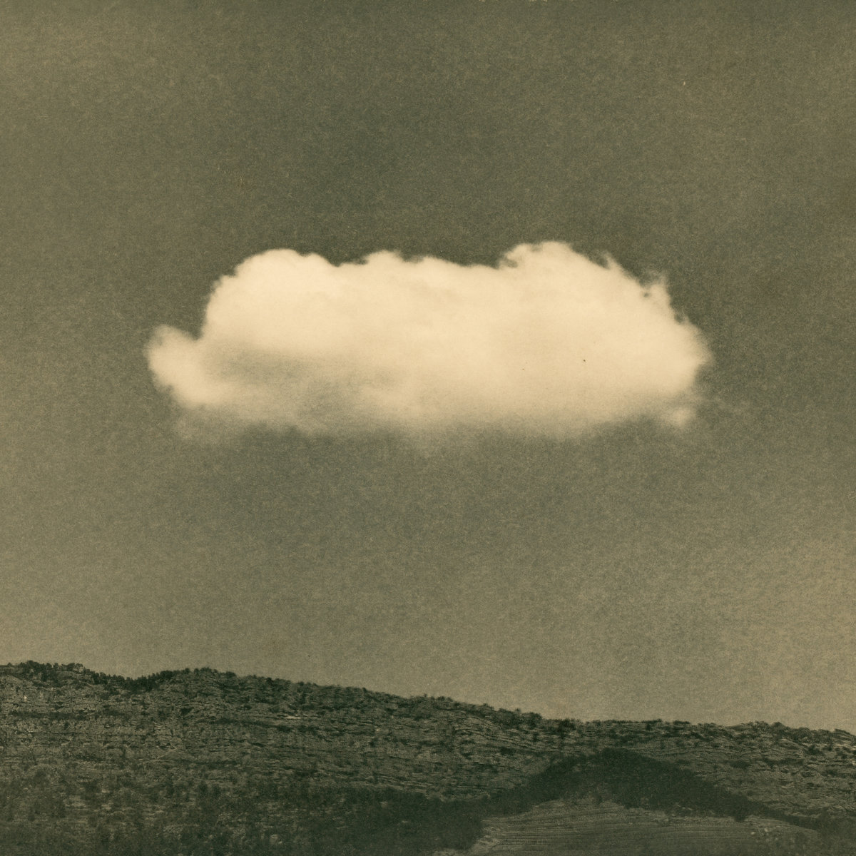 Reasons of Simplicity | Ninze