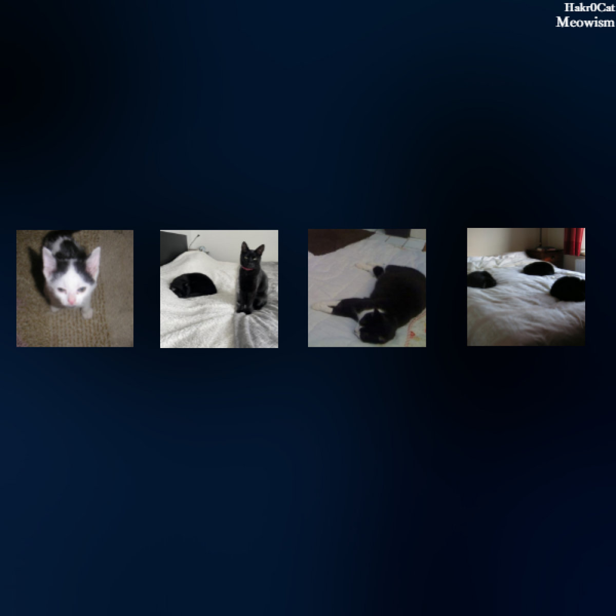 Meowism | Hakr0Cat